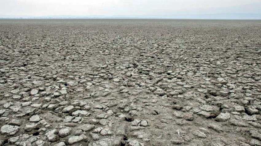 Faulty farming practices trigger land degradation and desertification ...