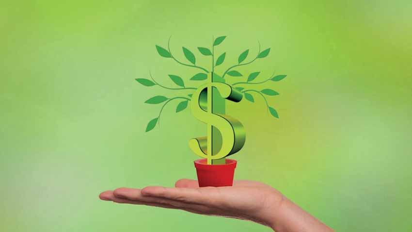 Decoding the Green Credit Rules 2023 | Uday India